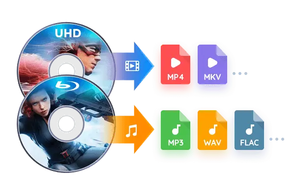 H264 vs H265 | Les différences - Guide Complet